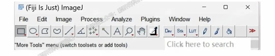 【科研软件】FIJI安装教程 - 颗研谷